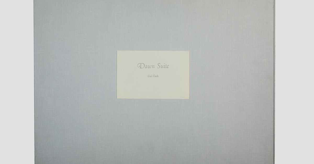 Artist Interview: Gail Gash Taylor | Zane Bennett Contemporary Art